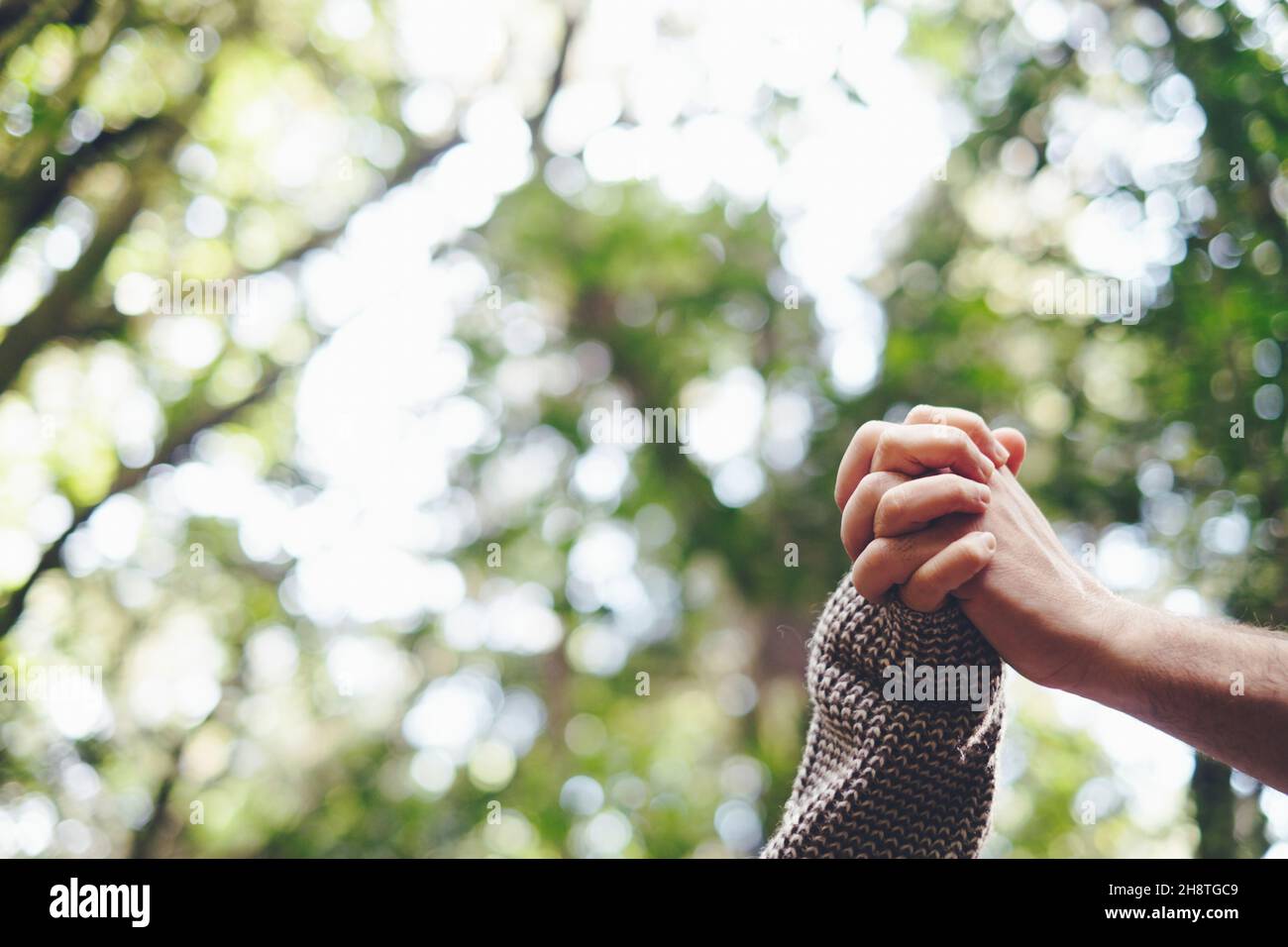 Couple of hands touching and holding with nature woods background ...