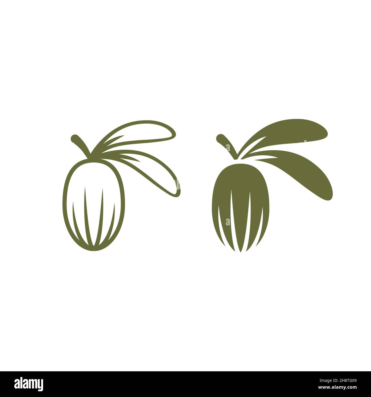 Shea nut green icon. vitellaria beauty and cosmetics oil. Cosmetic ...