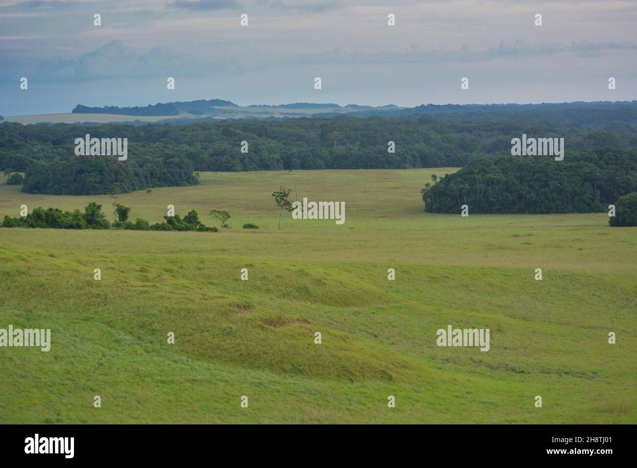 Pongara national park hi-res stock photography and images - Alamy