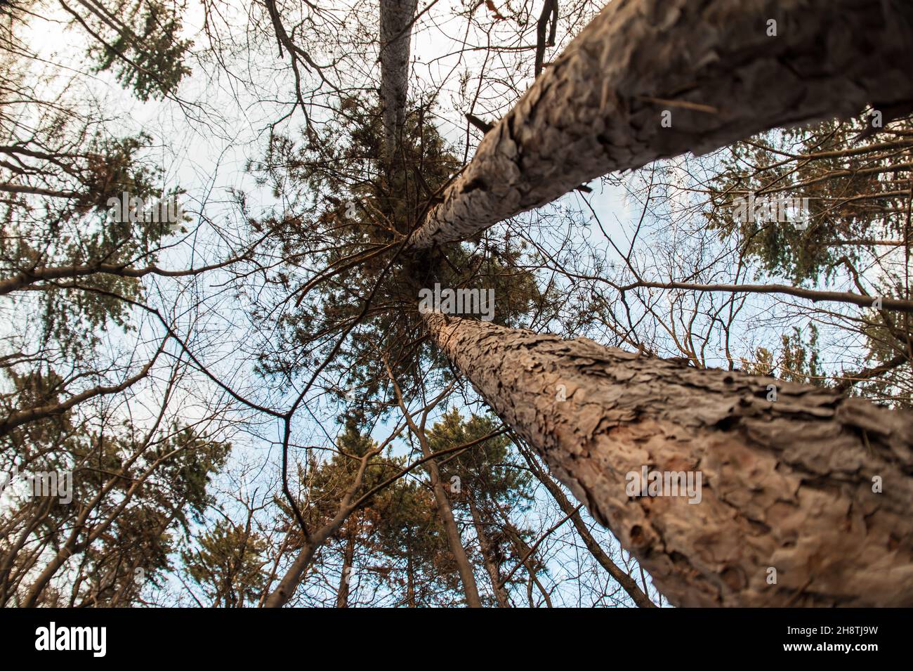 Art, abstract and artistic fisheye lens perspective view of fantasy ...