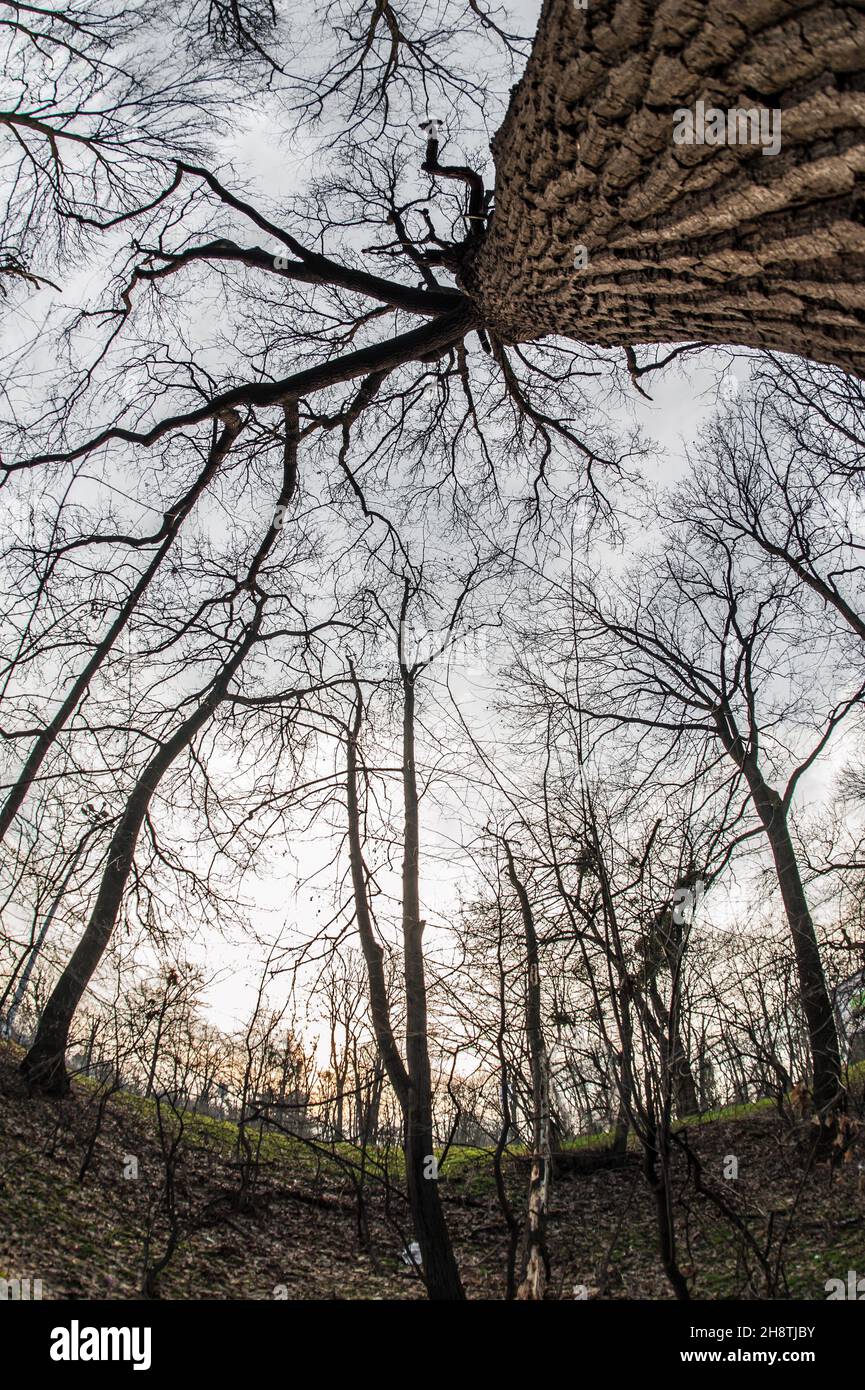 Art, abstract and artistic fisheye lens perspective view of fantasy ...