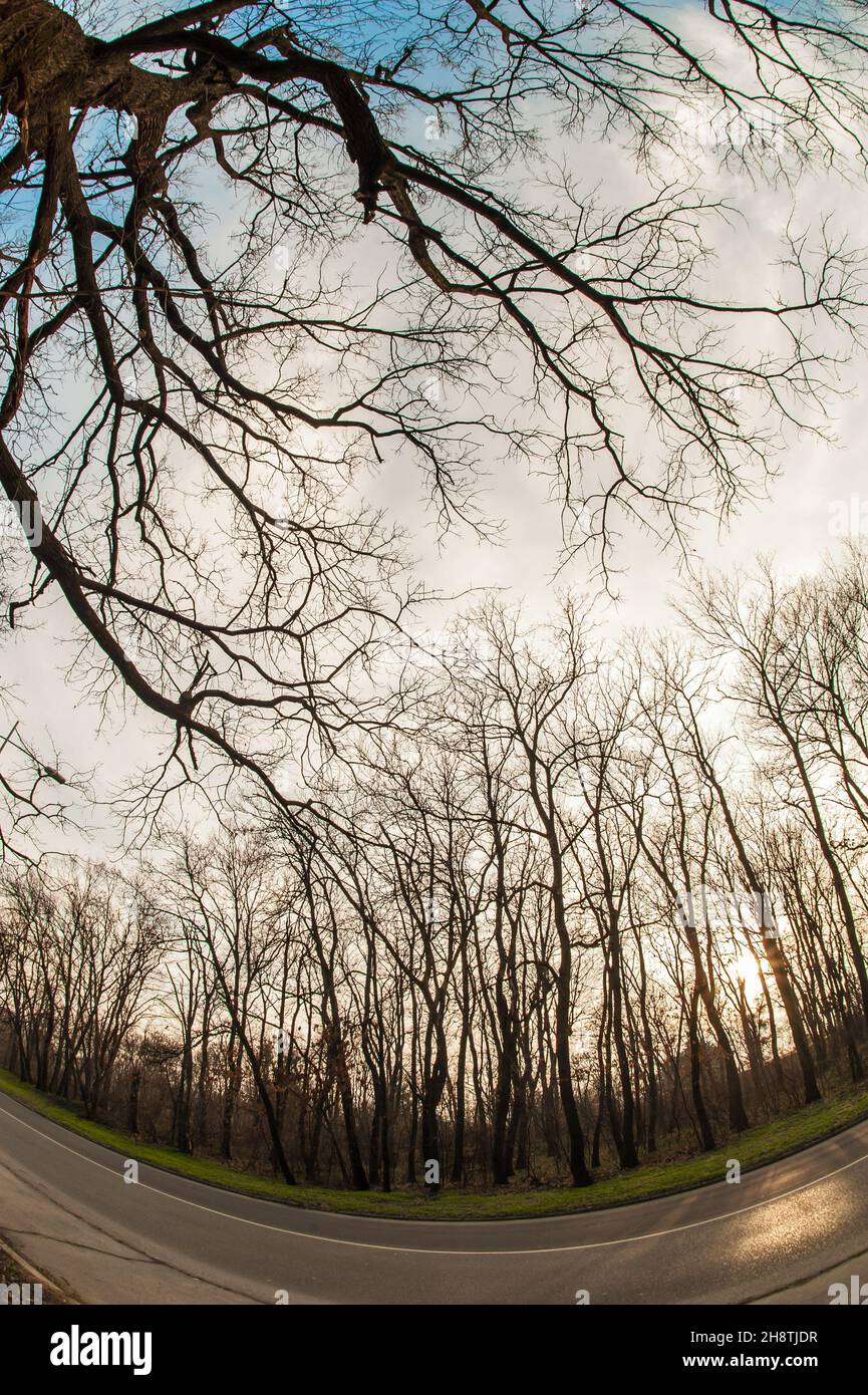 Art, abstract and artistic fisheye lens perspective view of fantasy ...