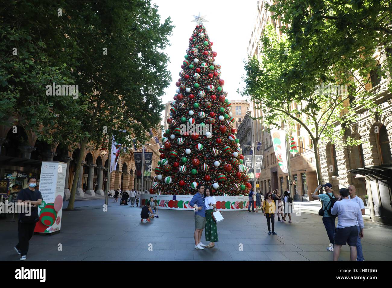 Sydney, Australia. 2nd December 2021. The tallest Christmas tree in NSW ...