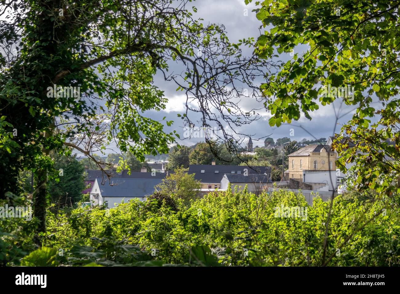 The historic town of Raphoe seen through the trees in County Donegal ...