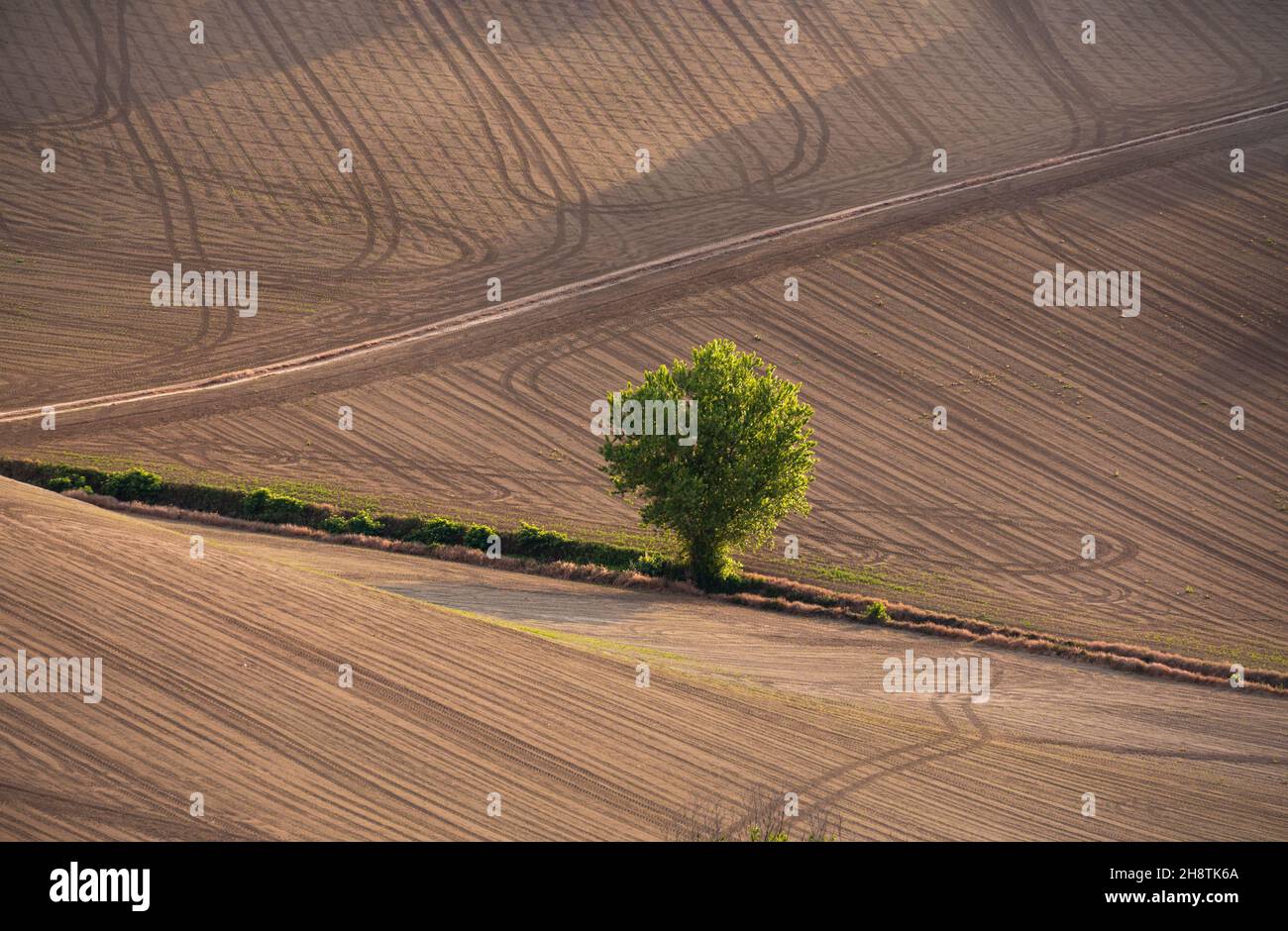 Rural landscape with farm fields, house and tree Stock Photo - Alamy