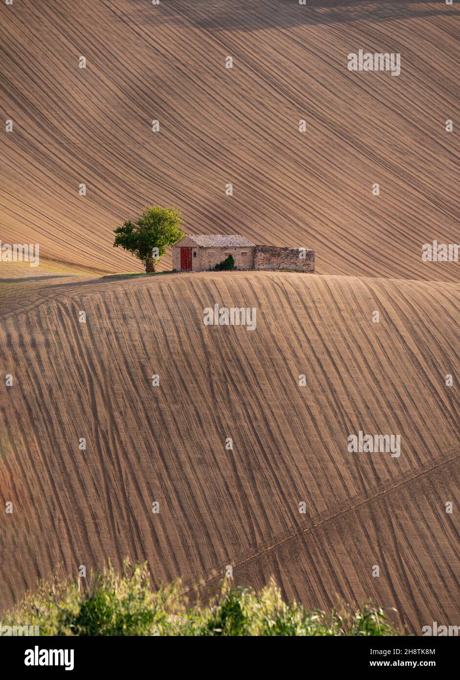 Rural landscape with farm fields, house and tree Stock Photo - Alamy