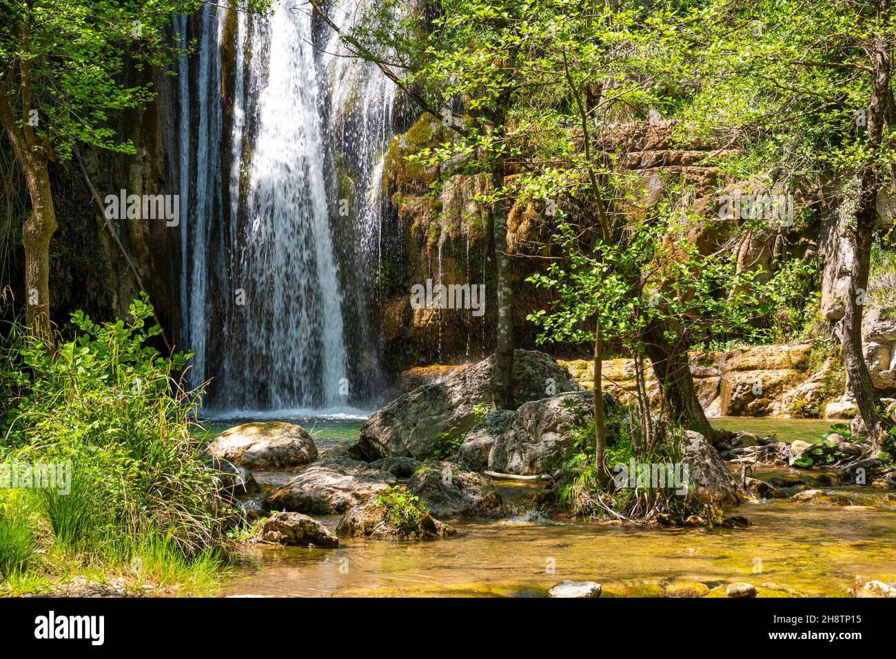 Beautiful waterfall in forest among trees Stock Photo - Alamy