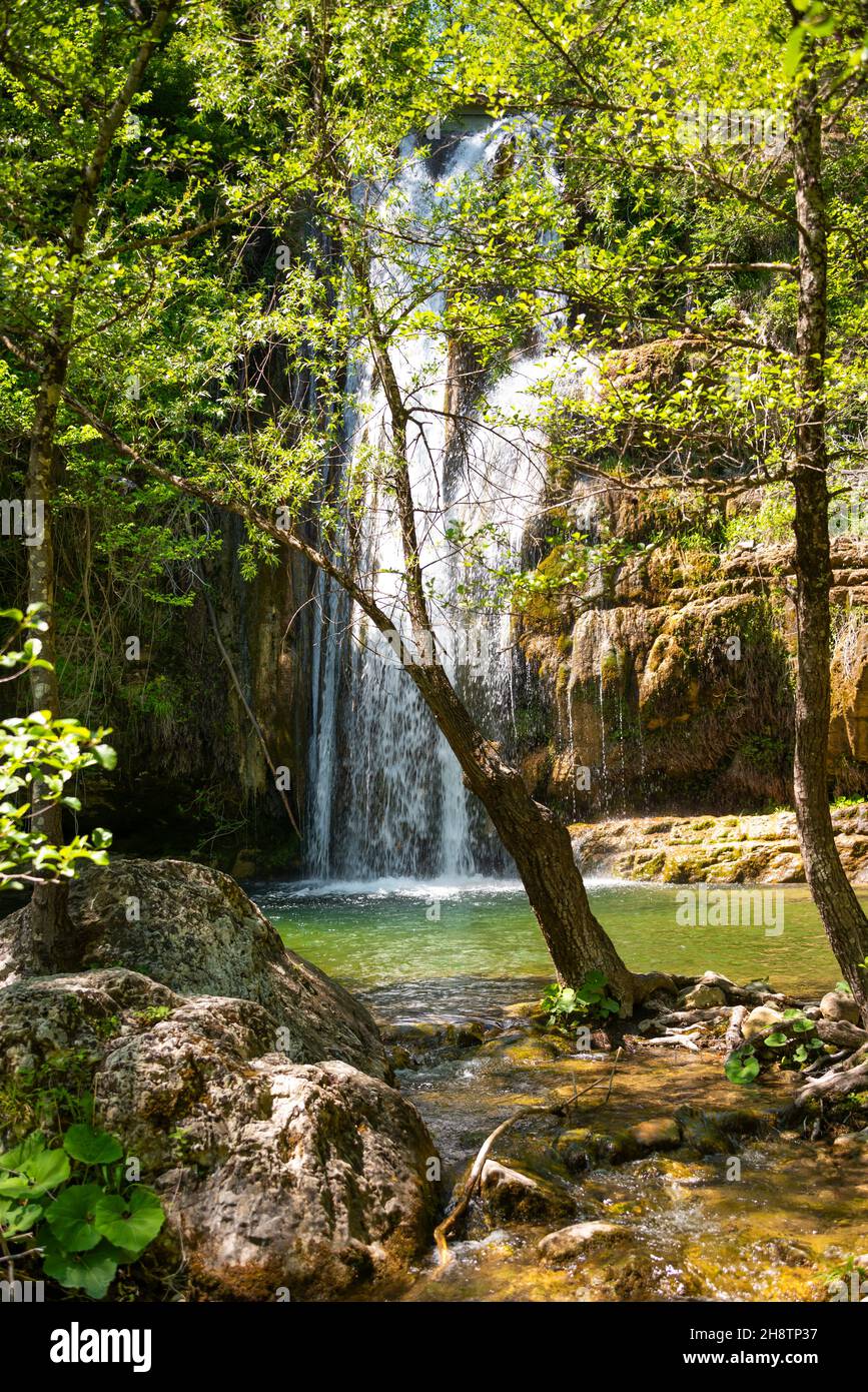 Beautiful waterfall in forest among trees Stock Photo - Alamy