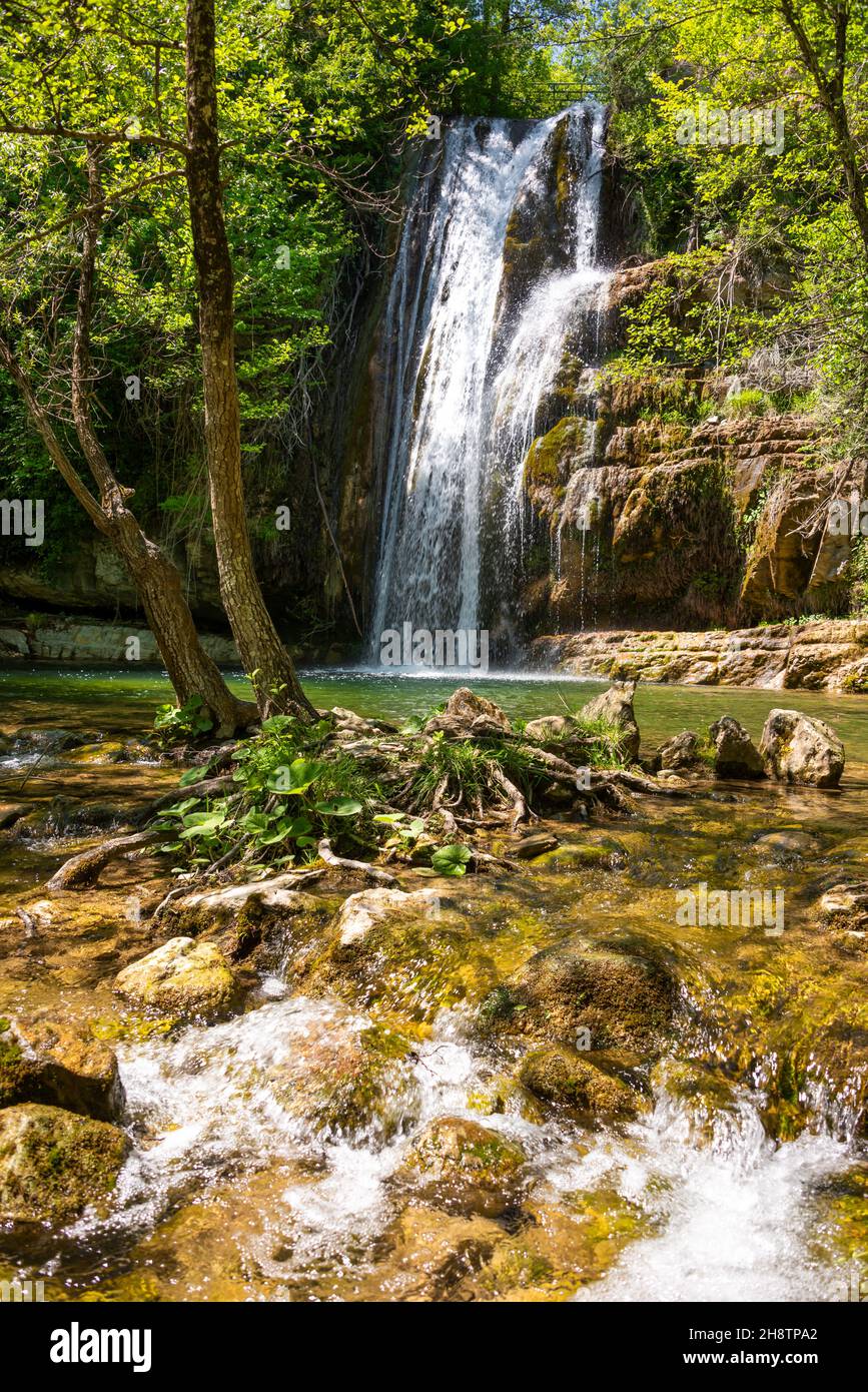 Beautiful waterfall in forest among trees Stock Photo - Alamy
