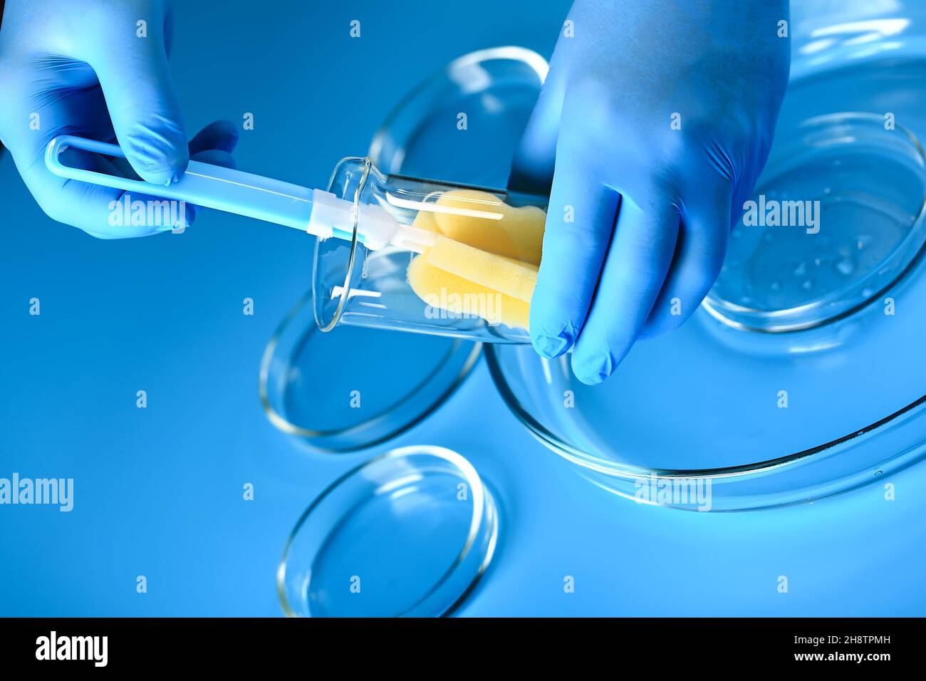 hands in gloves wash a laboratory test tube. medical concept Stock ...