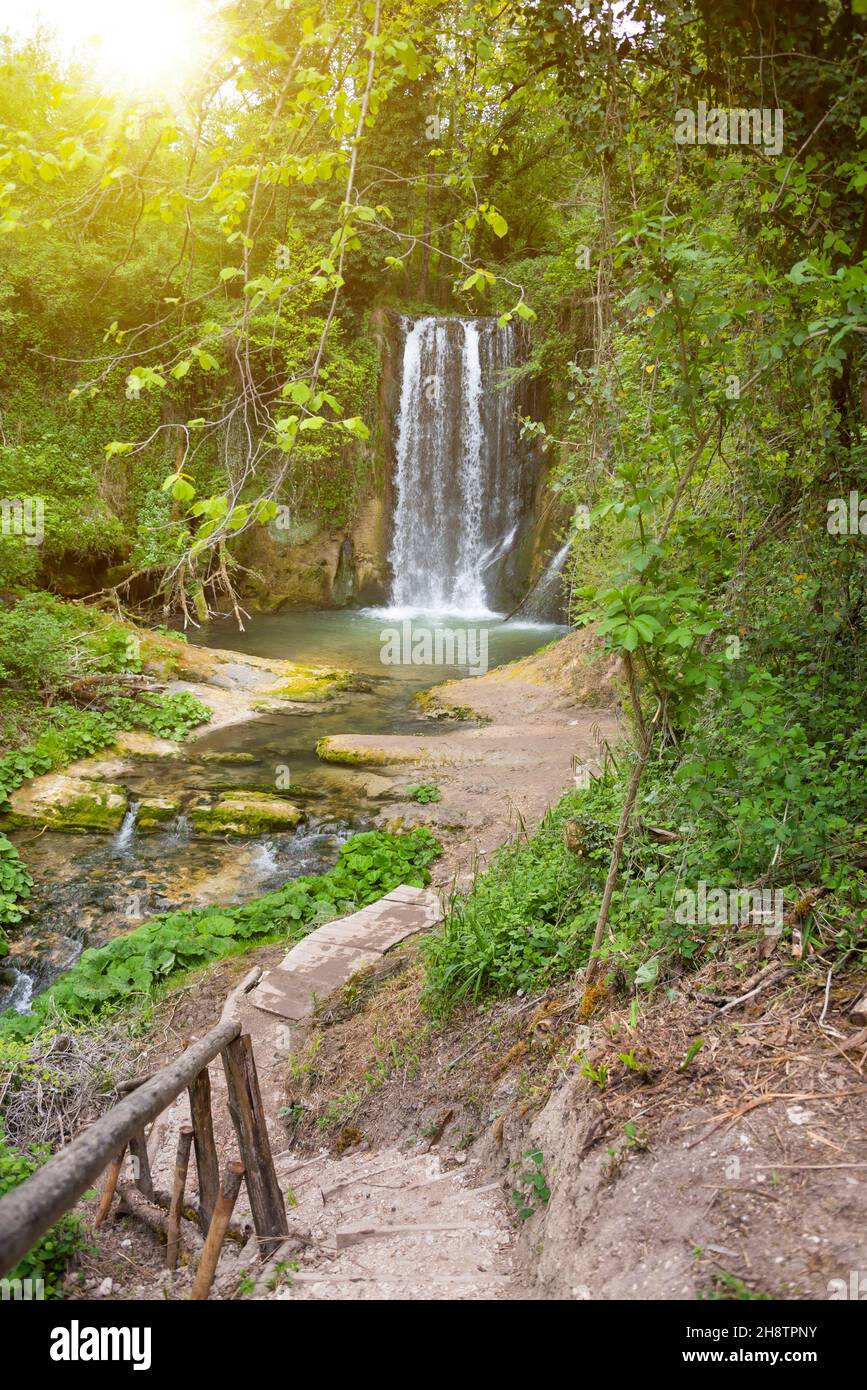 Beautiful waterfall in forest among trees Stock Photo - Alamy