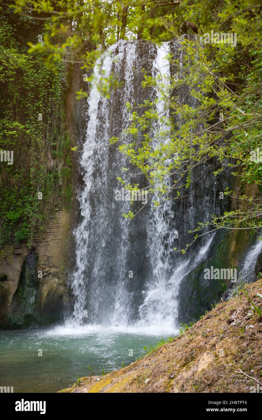 Beautiful waterfall in forest among trees Stock Photo - Alamy