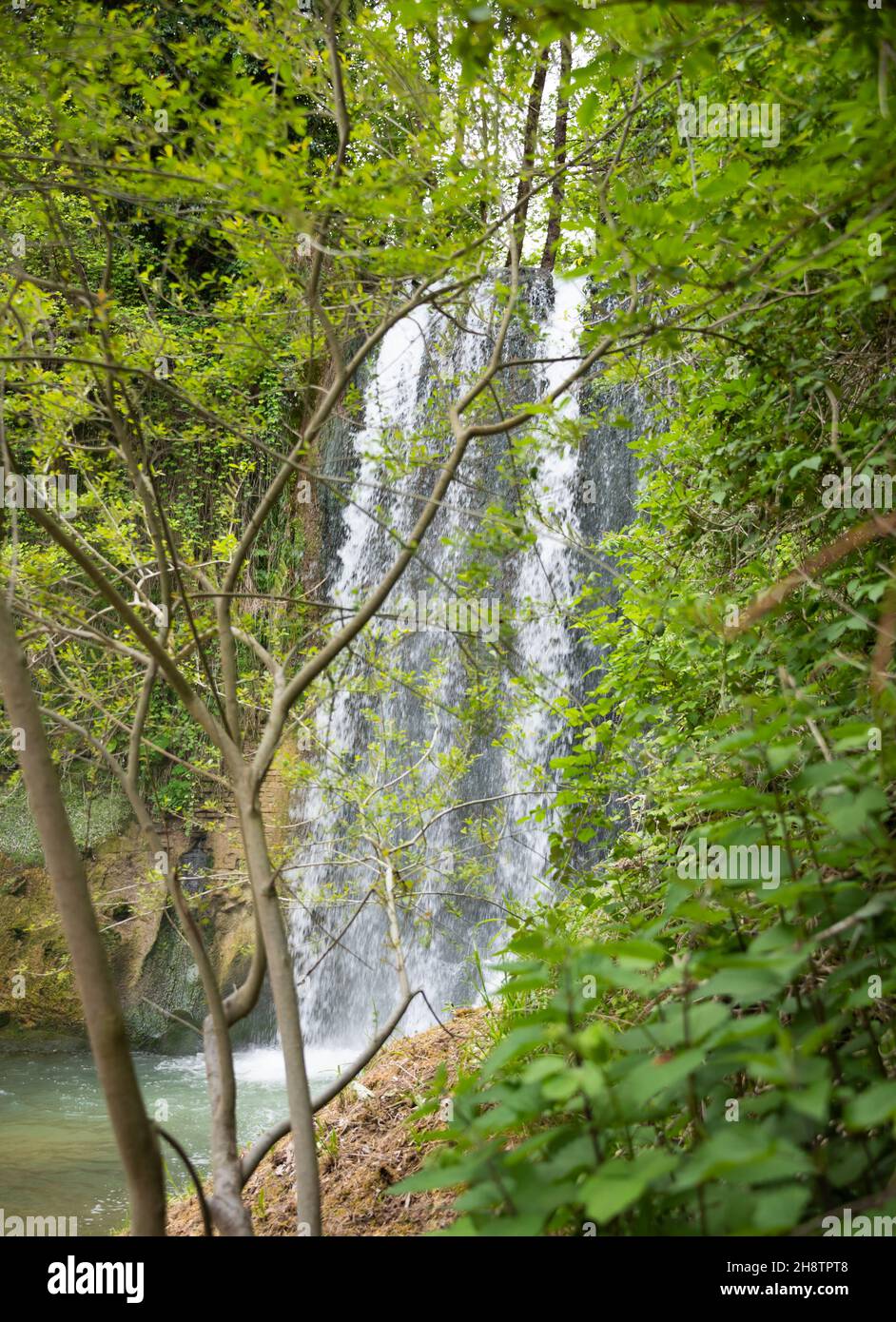 Beautiful waterfall in forest among trees Stock Photo - Alamy