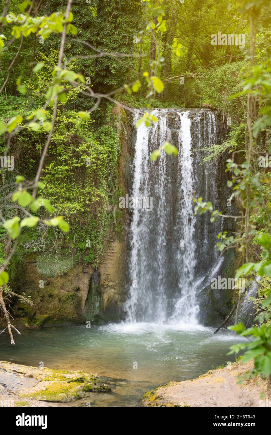 Beautiful waterfall in forest among trees Stock Photo - Alamy