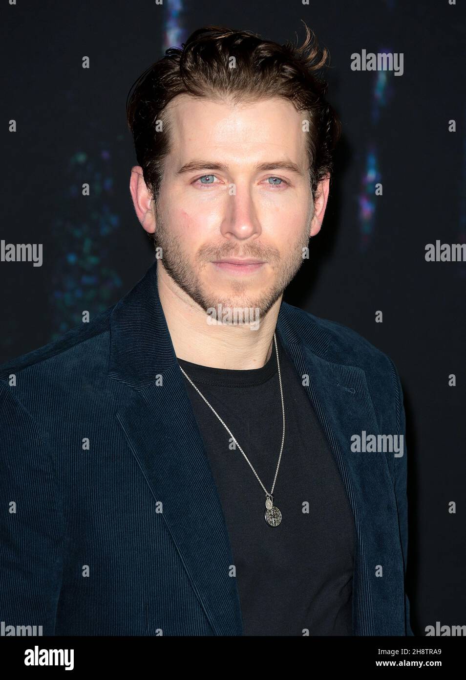 Dec 01, 2021 - London, England, UK - Chris Fulton attends The Witcher ...