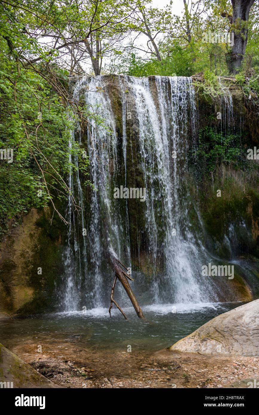 Beautiful waterfall in forest among trees Stock Photo - Alamy