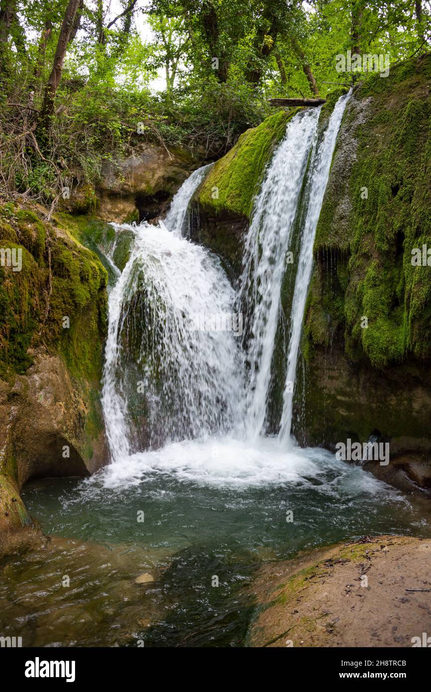Beautiful waterfall in forest among trees Stock Photo - Alamy