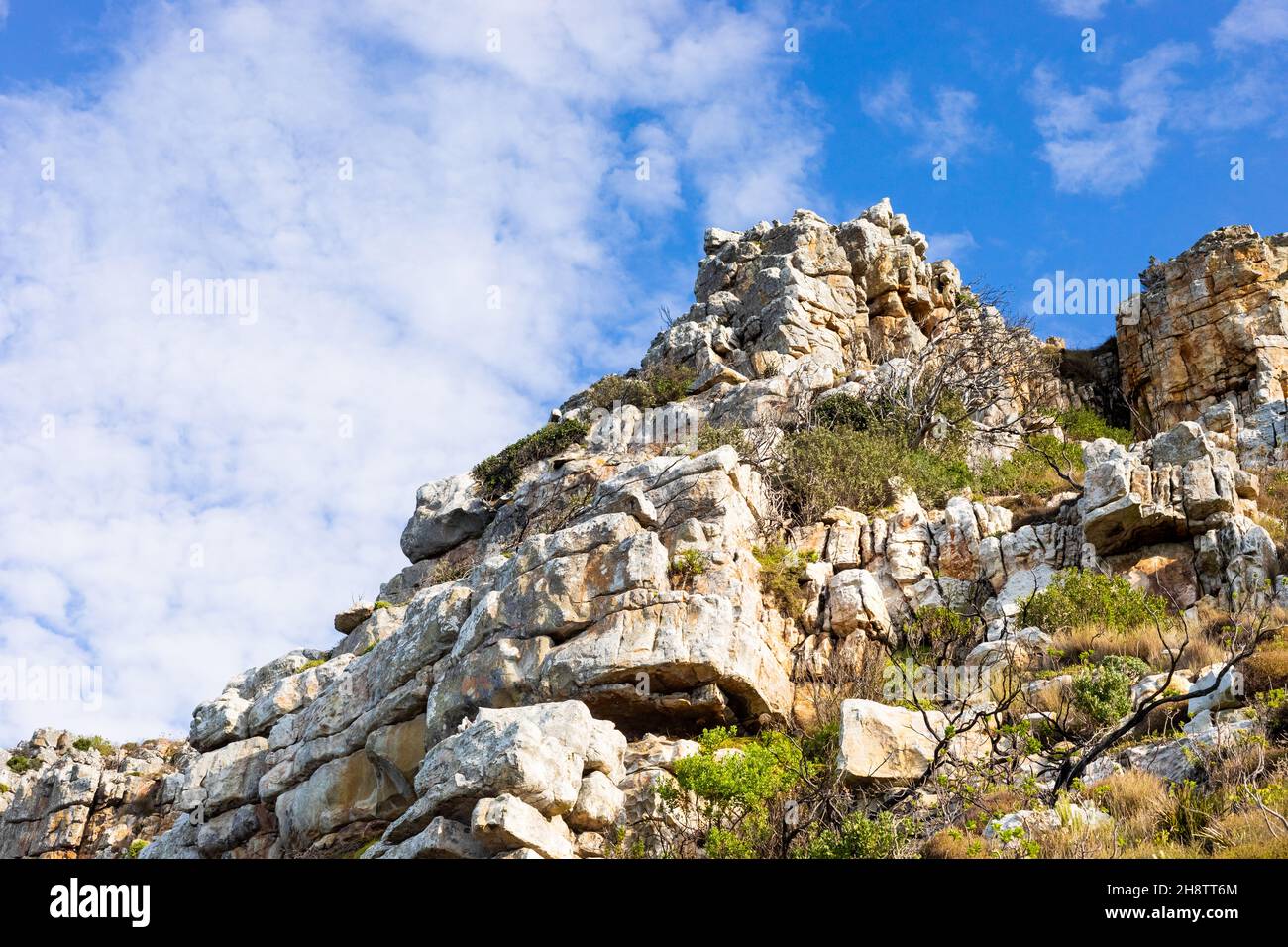 Rugged mountain landscape with fynbos scrub bush flora in Cape Town ...