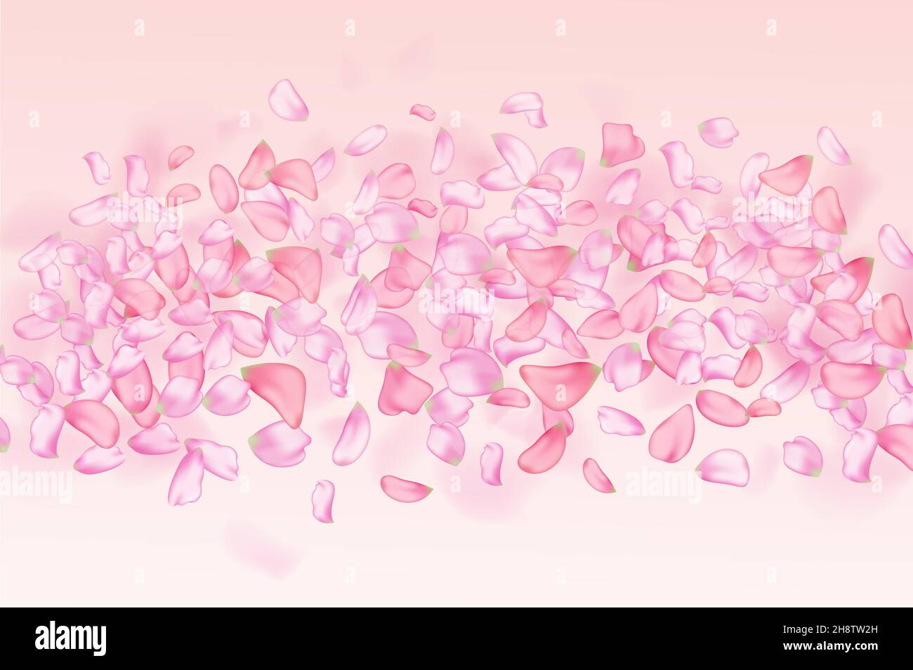 Nature horizontal background.Pink falling sakura petals.Vector ...