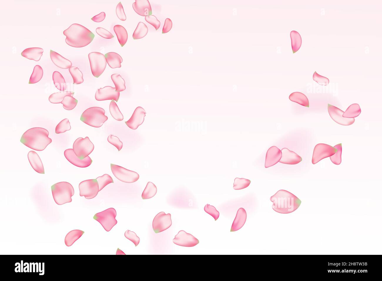 Nature horizontal background.Pink falling sakura petals.Vector ...