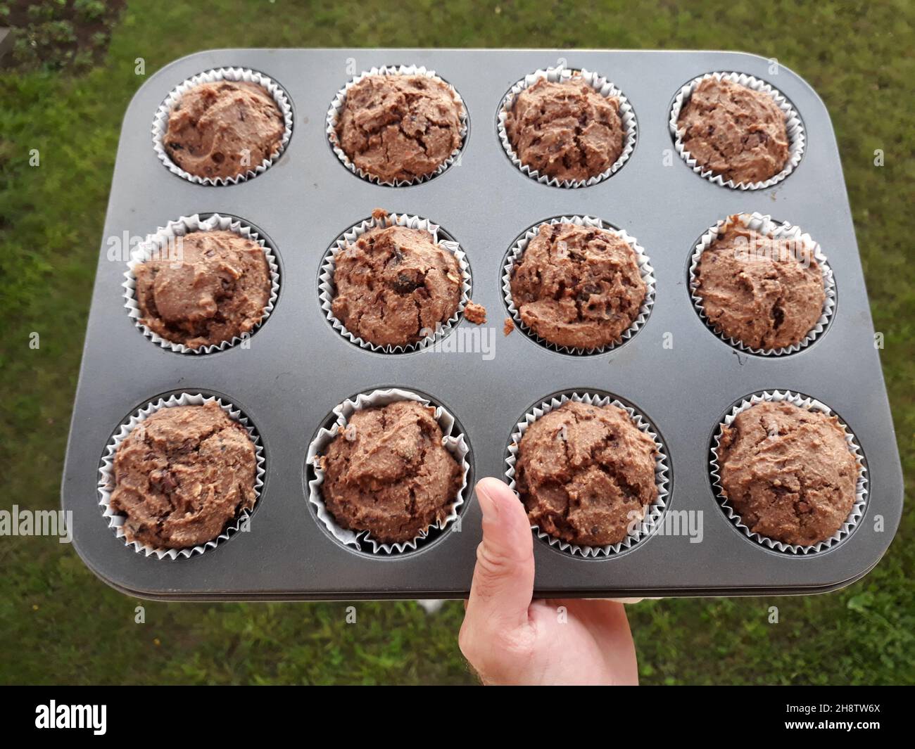 Hand holding muffins in a muffin form Stock Photo - Alamy