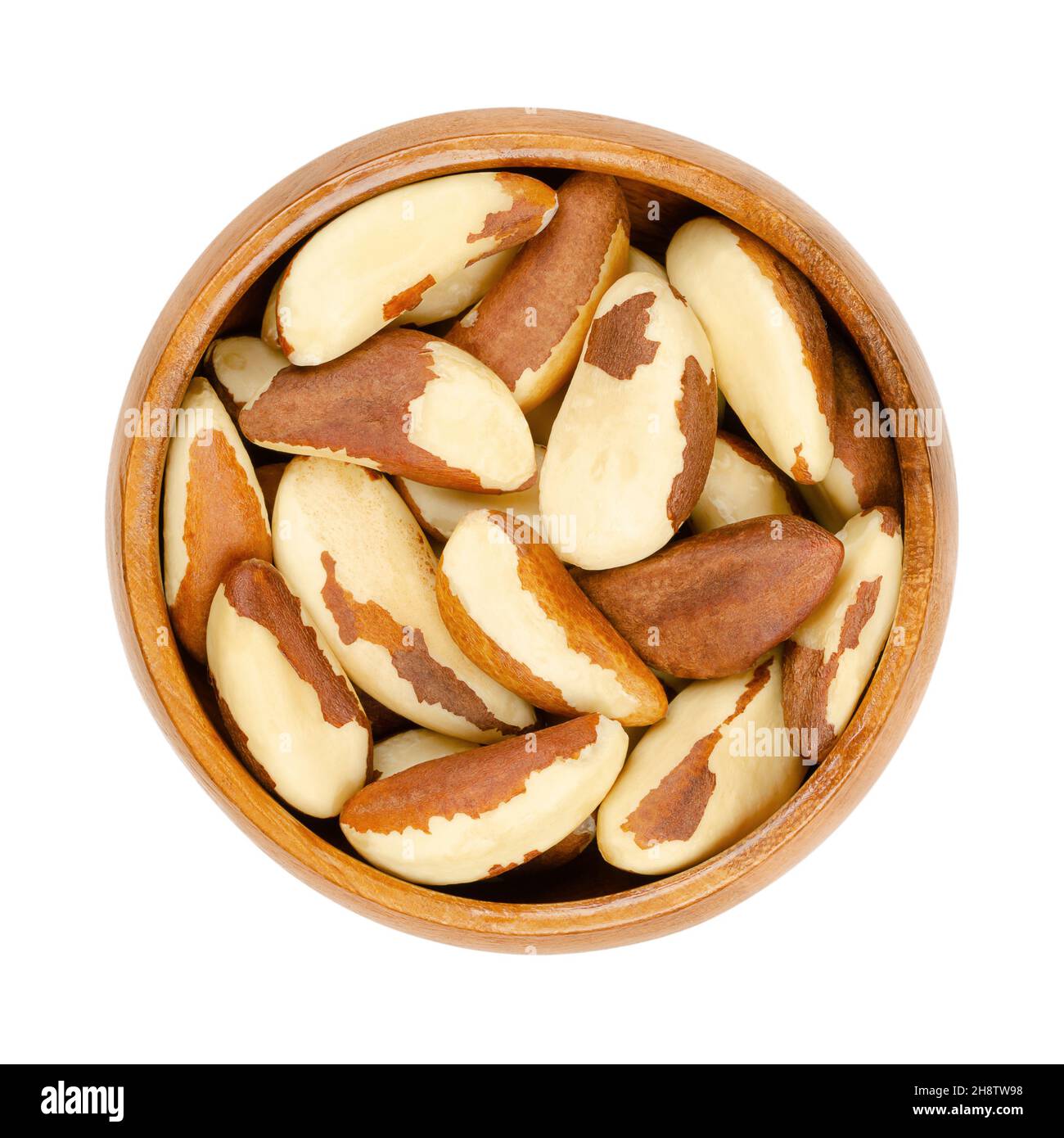 Bertholletia excelsa fruit hi-res stock photography and images - Alamy