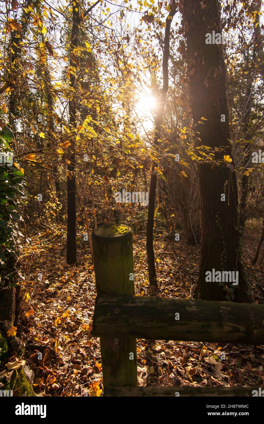 Sunny colours hi-res stock photography and images - Alamy