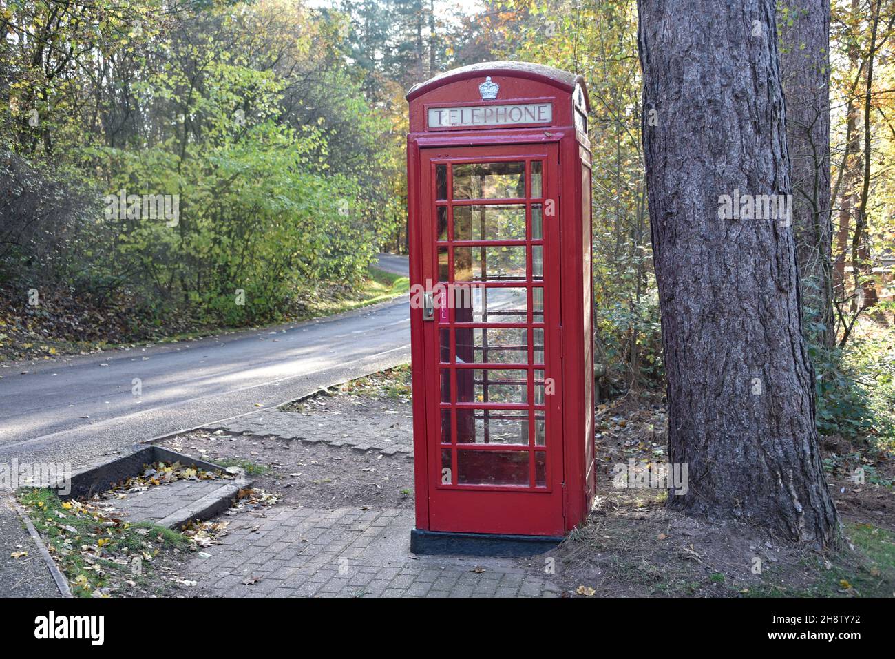 Sherwood Forest, UK - 17 Nov, 2021: Traditional British Red Public ...