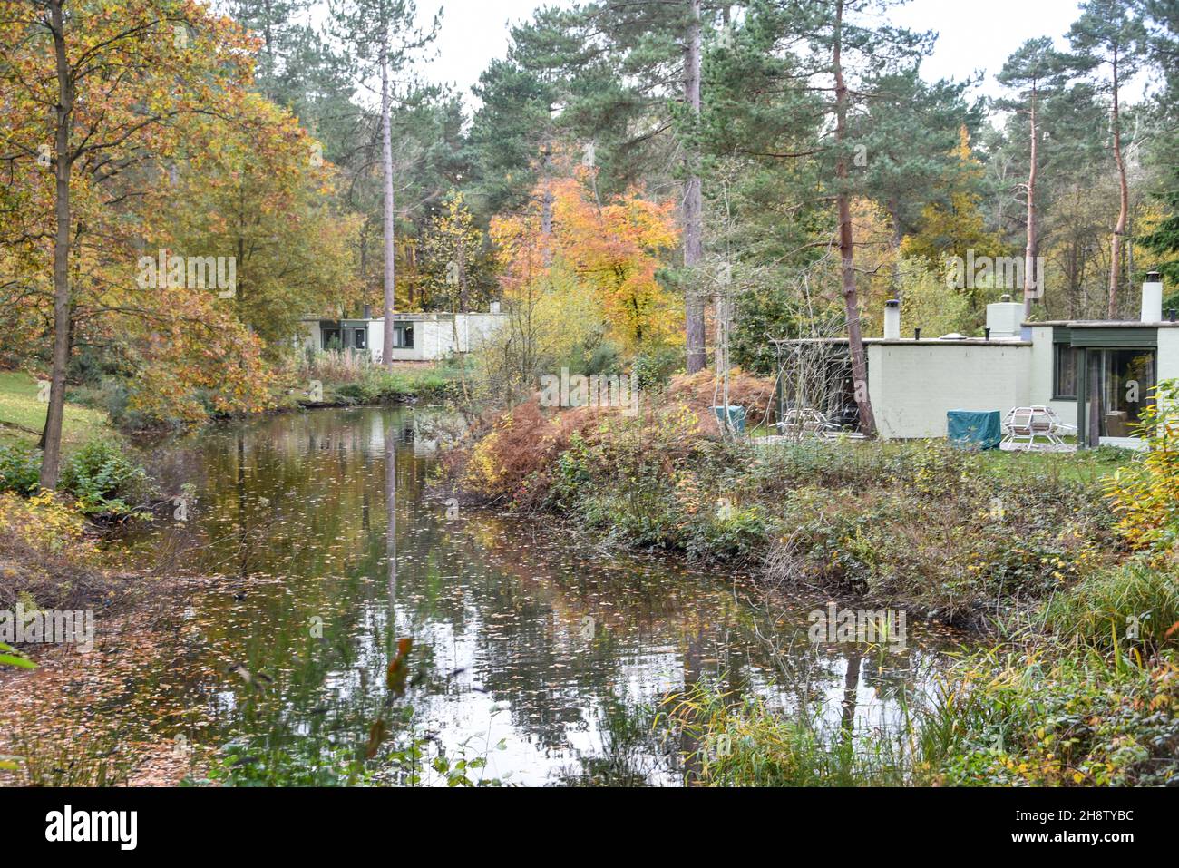 Sherwood Forest, UK - 20 Nov, 2021: Lakeside villas at the Centre Parcs ...