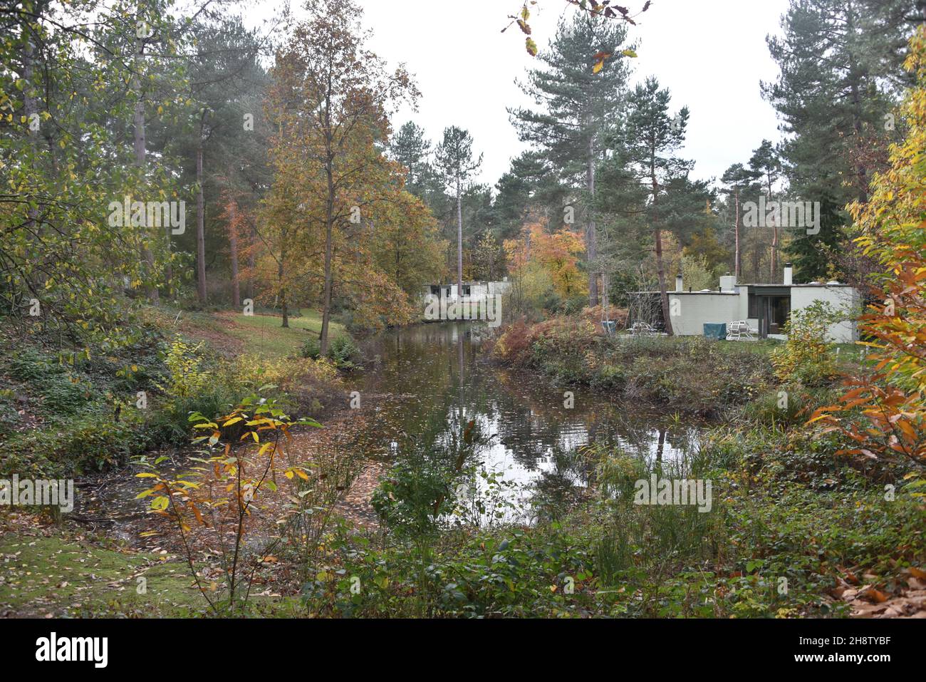 Center parcs villas hi-res stock photography and images - Alamy