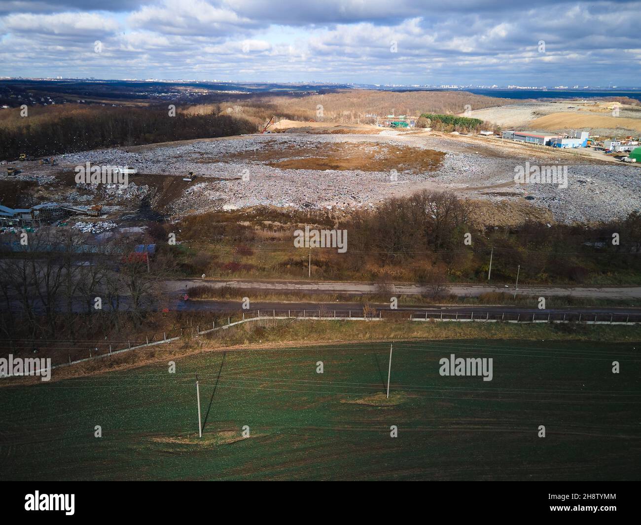 Different types of gulls hi-res stock photography and images - Alamy