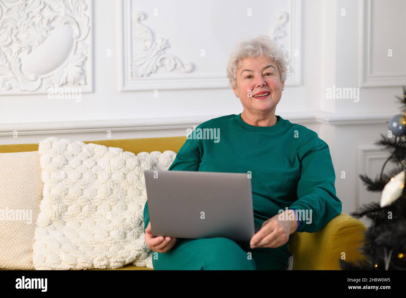 Senior mature older woman watching business training, online webinar on ...