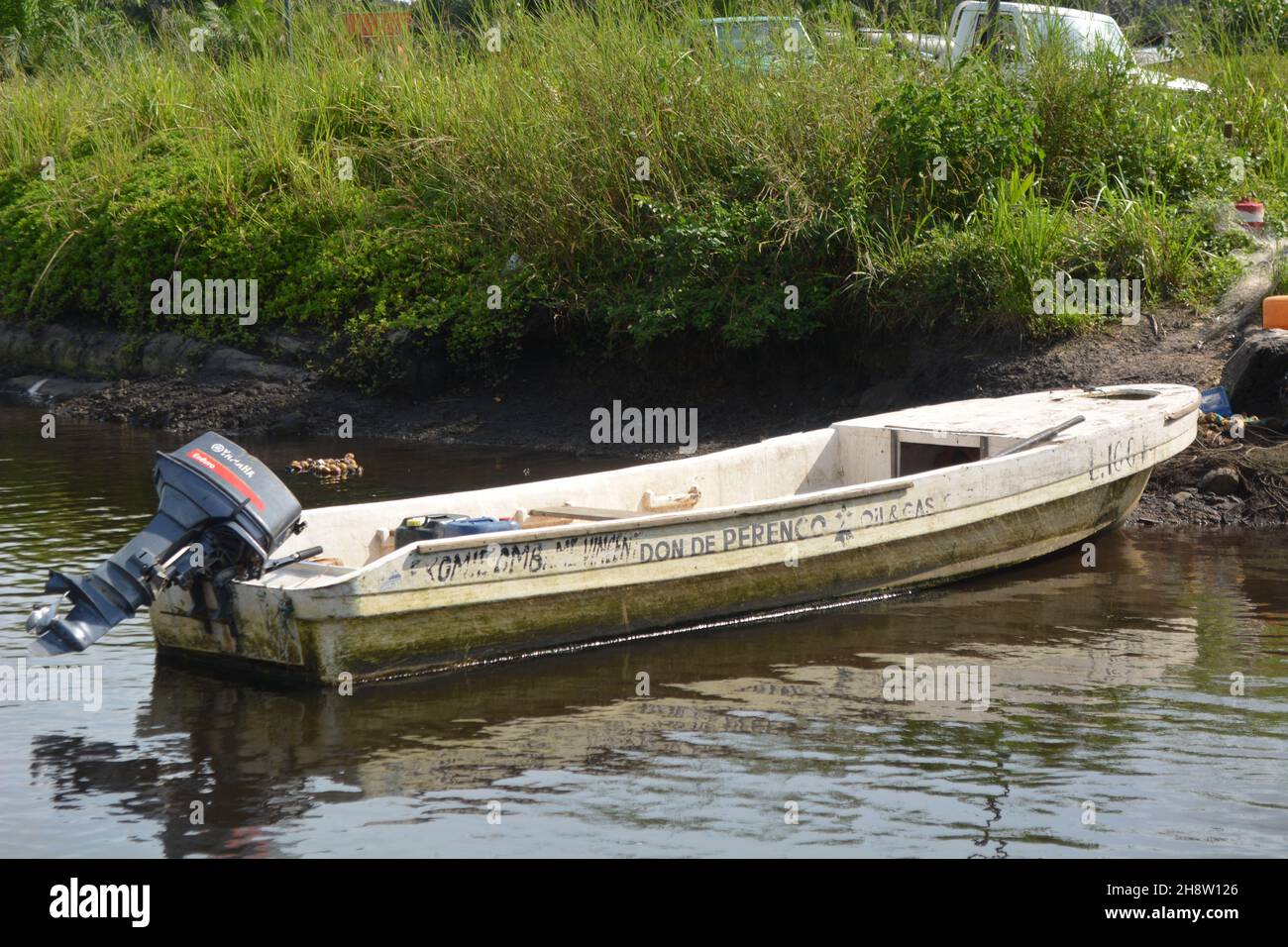 Mangrove, Gabon, Africa Stock Photo - Alamy