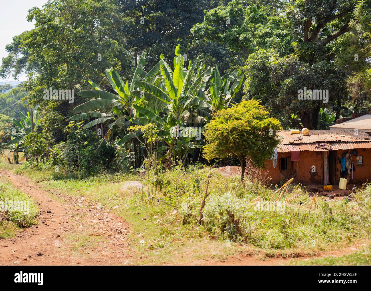 Buikwe, sometimes spelled Buyikwe, is a town in Buikwe District, Uganda ...