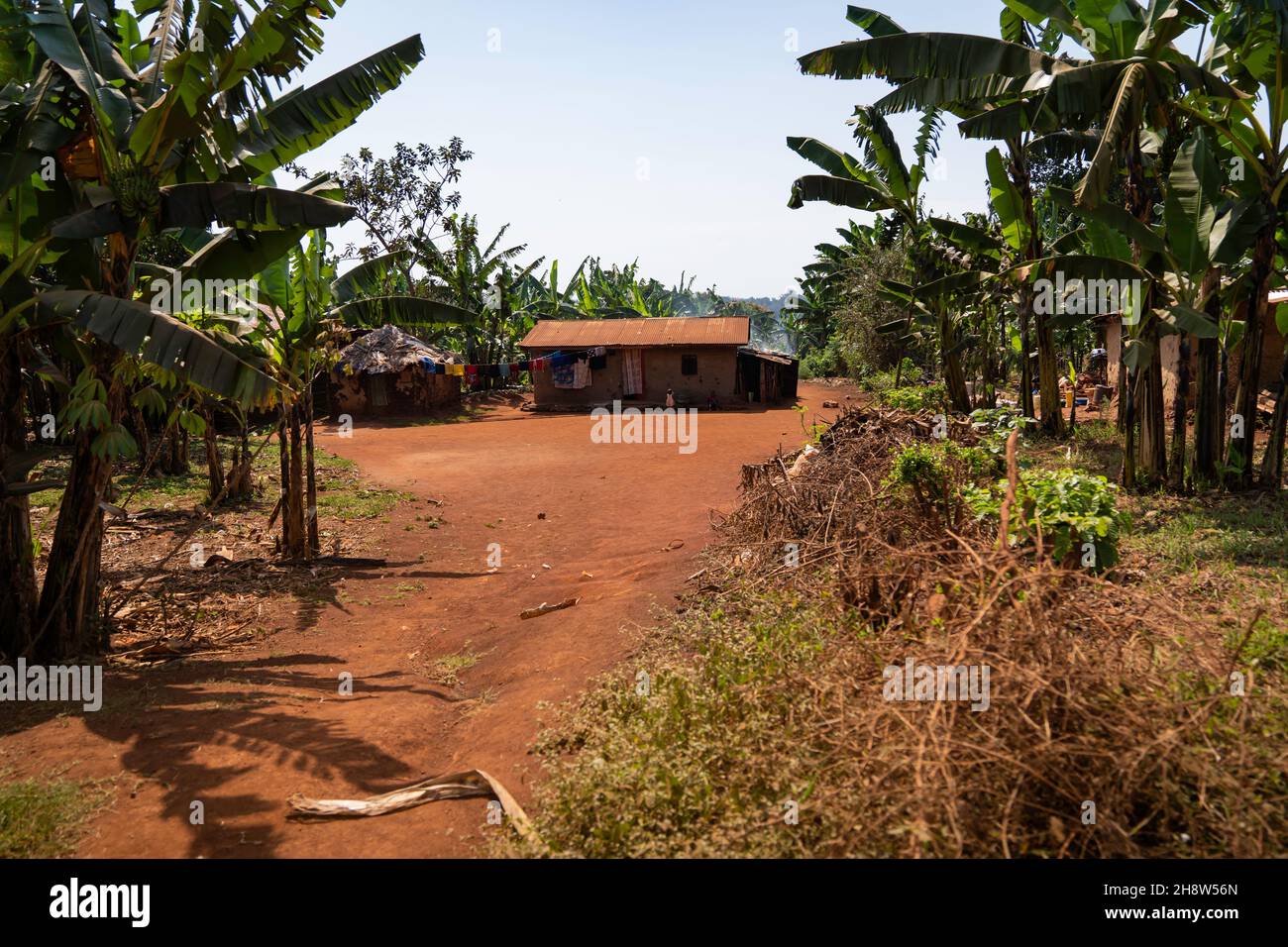 Buikwe is a small town in the south-east of the Central Region Stock ...