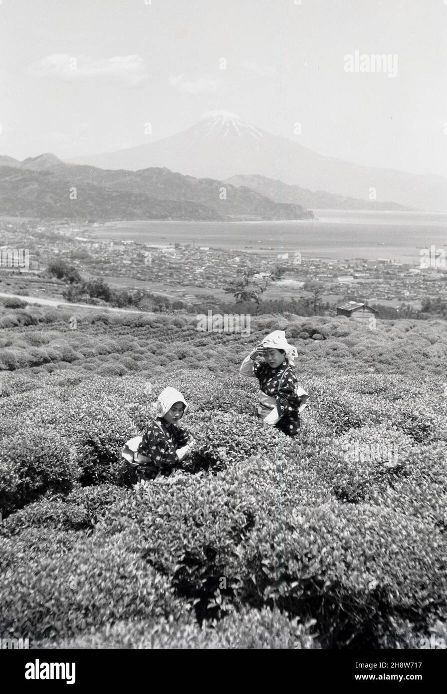1954, historical, two young Japanese women in traditional outfits ...
