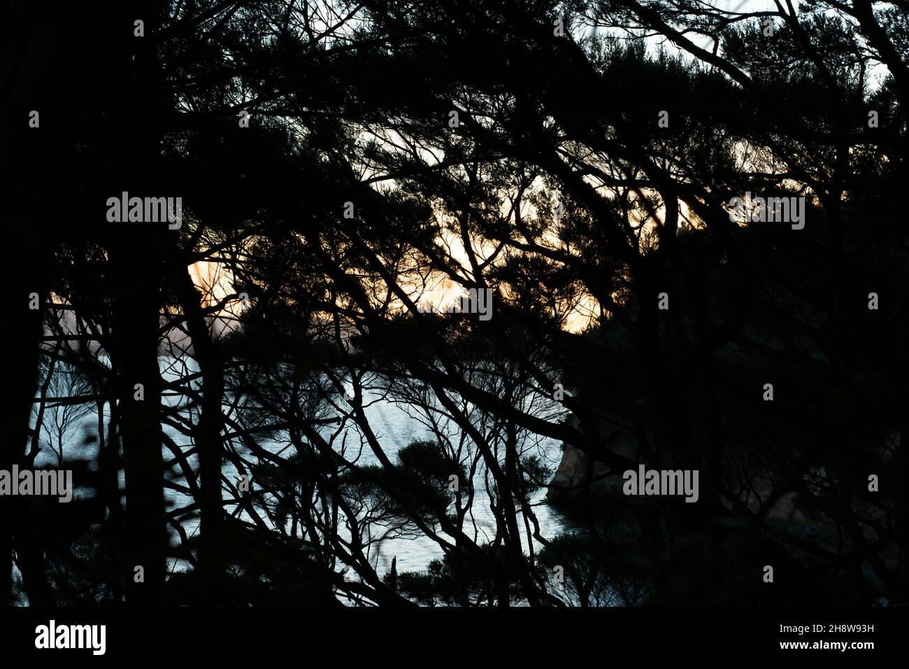 Night view of Birkenhead, Auckland City Stock Photo - Alamy