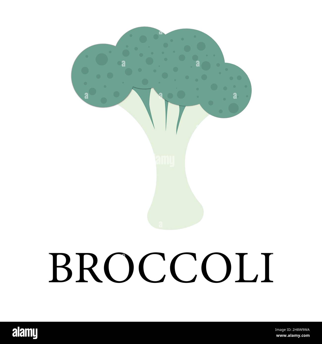 Broccoli icon vector, filled flat sign, solid colorful pictogram ...