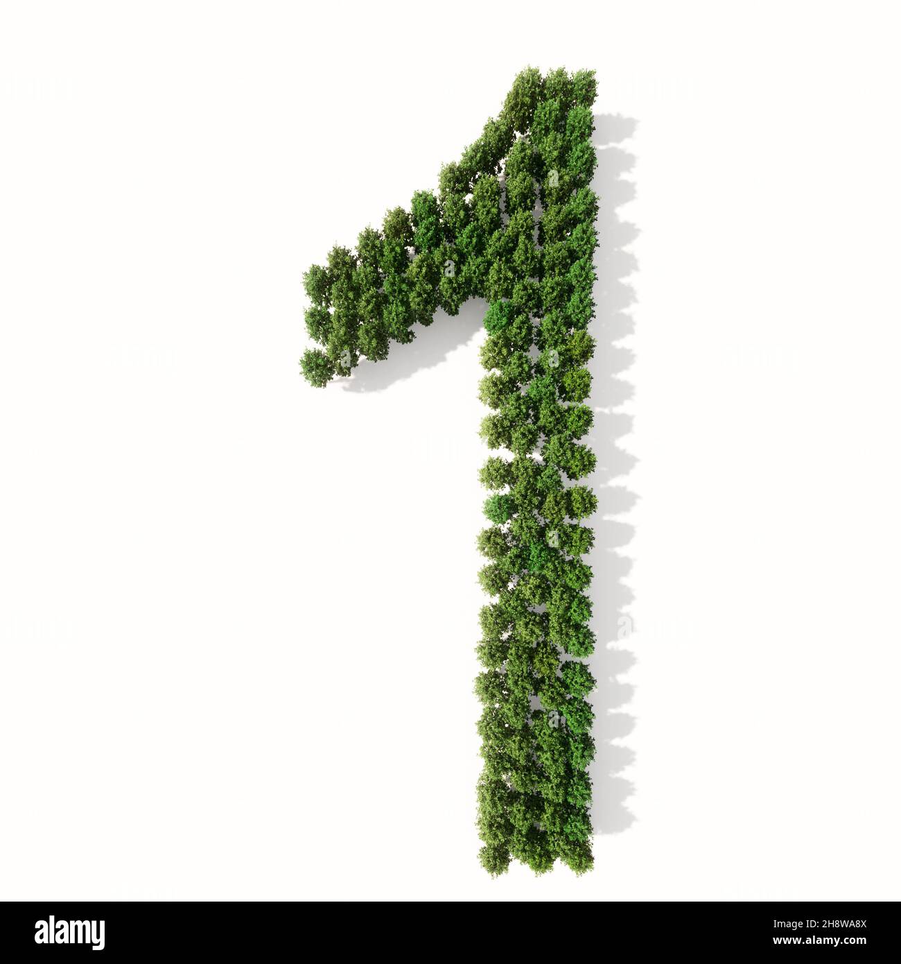 Concept or conceptual group of green forest tree isolated on white ...