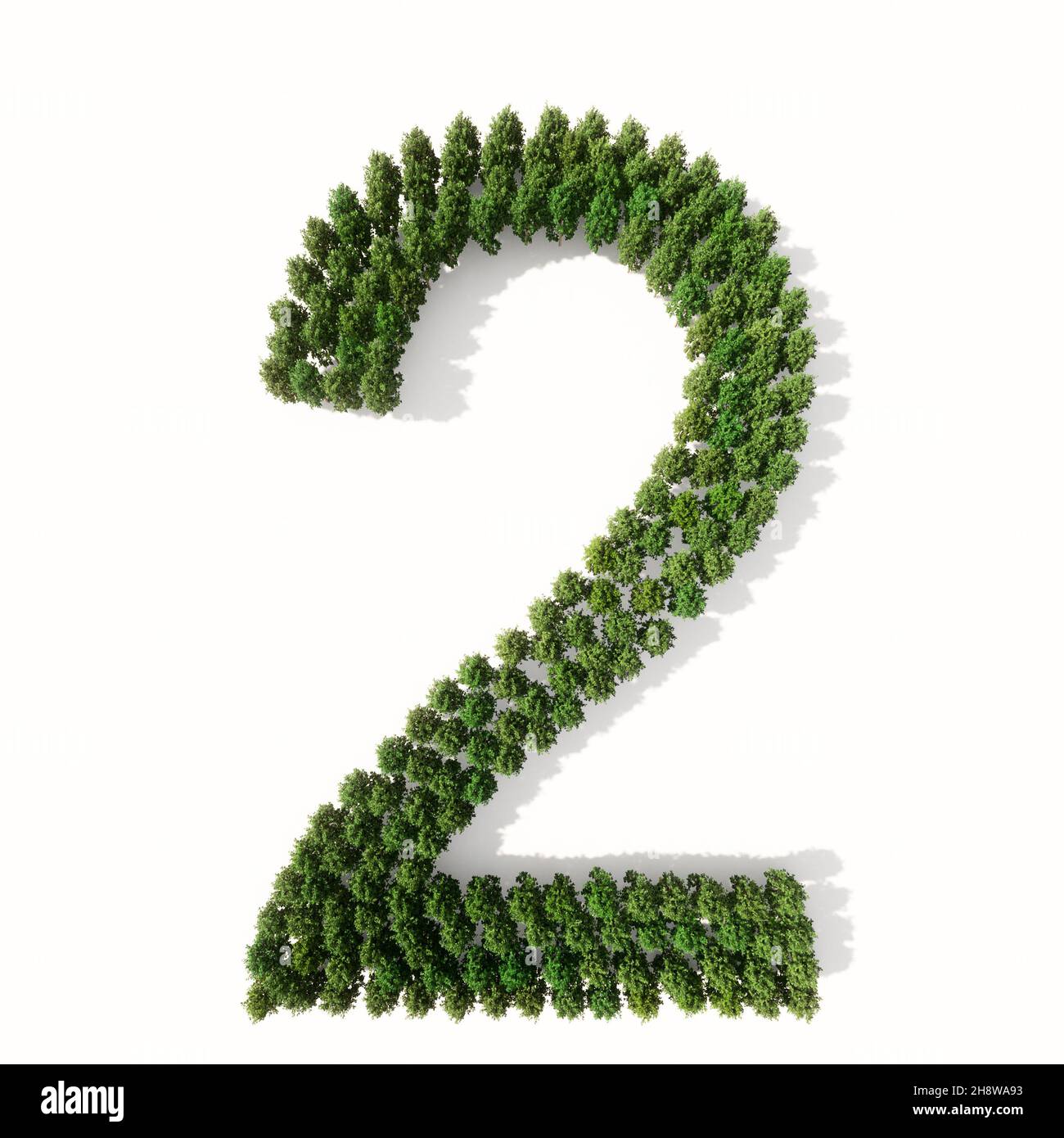 Concept or conceptual group of green forest tree isolated on white ...