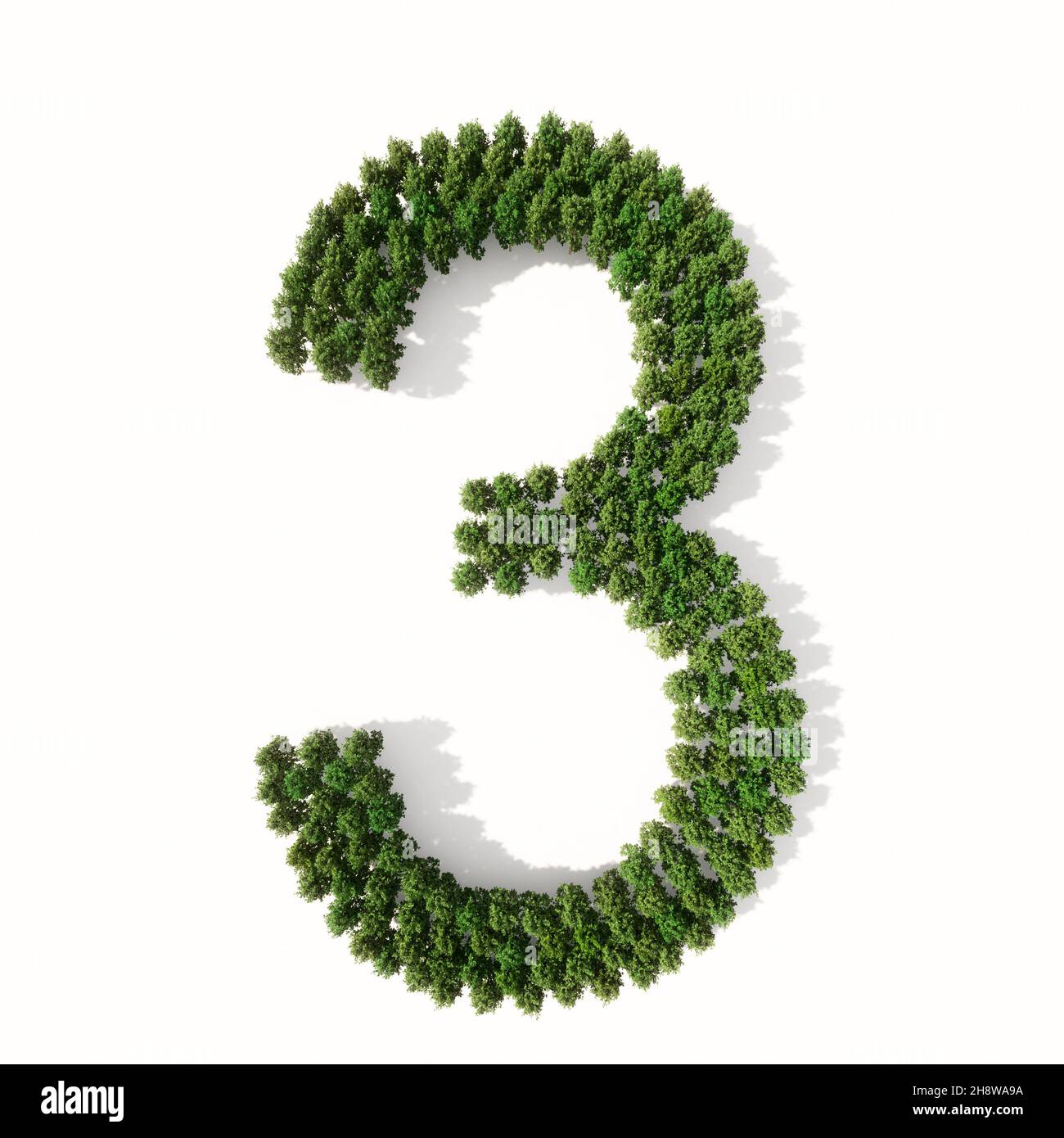 Concept or conceptual group of green forest tree isolated on white ...