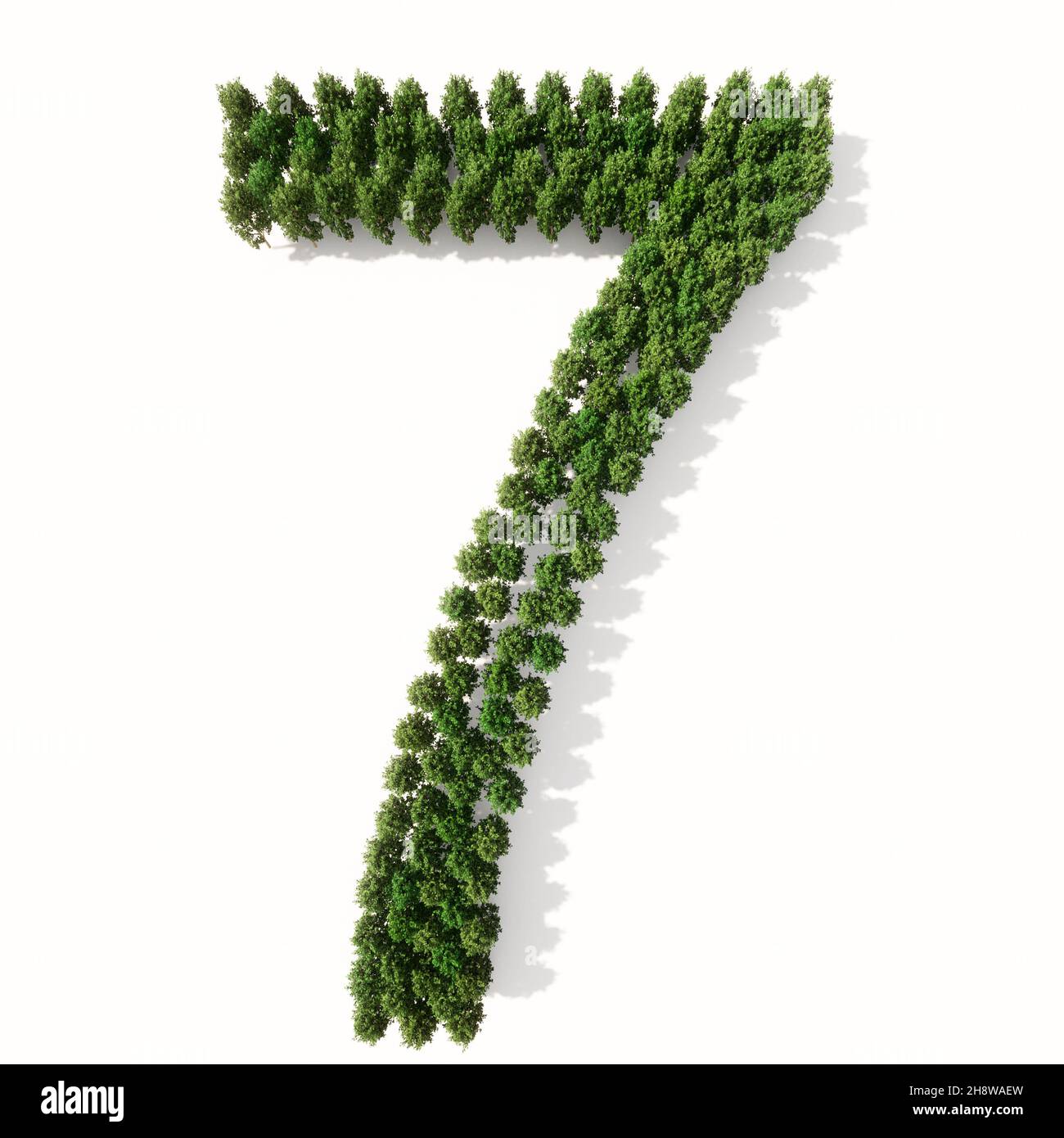 Concept or conceptual group of green forest tree isolated on white ...