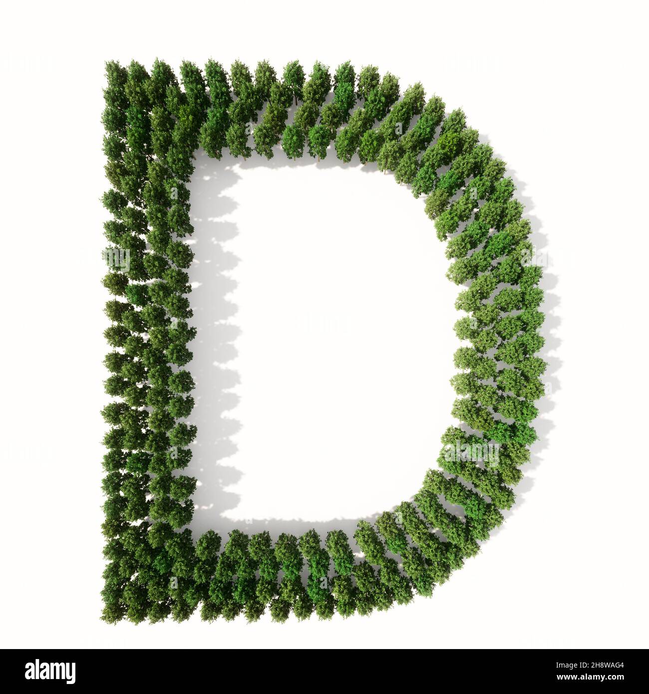 Concept or conceptual group of green forest tree isolated on white ...