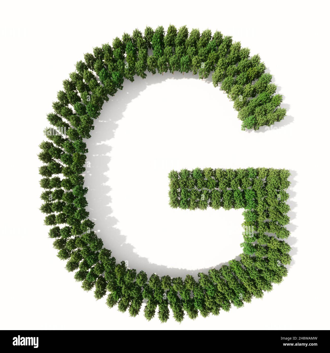 Concept or conceptual group of green forest tree isolated on white ...