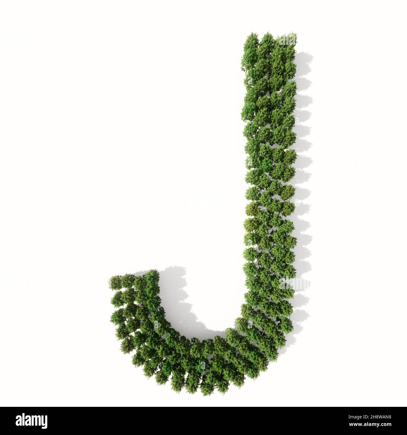 Letter J In Nature