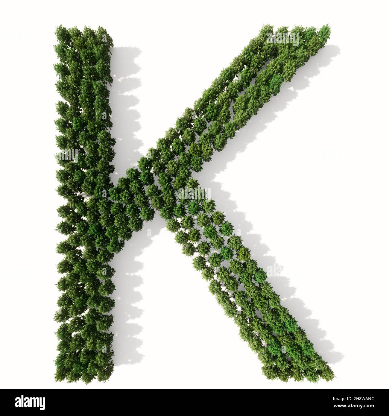 Concept or conceptual group of green forest tree isolated on white ...