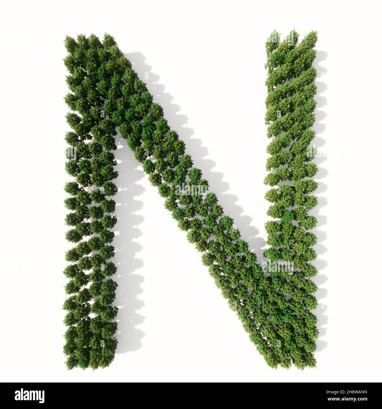 Concept or conceptual group of green forest tree isolated on white ...
