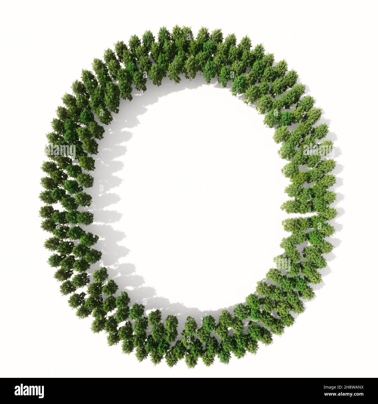 Concept or conceptual group of green forest tree isolated on white ...