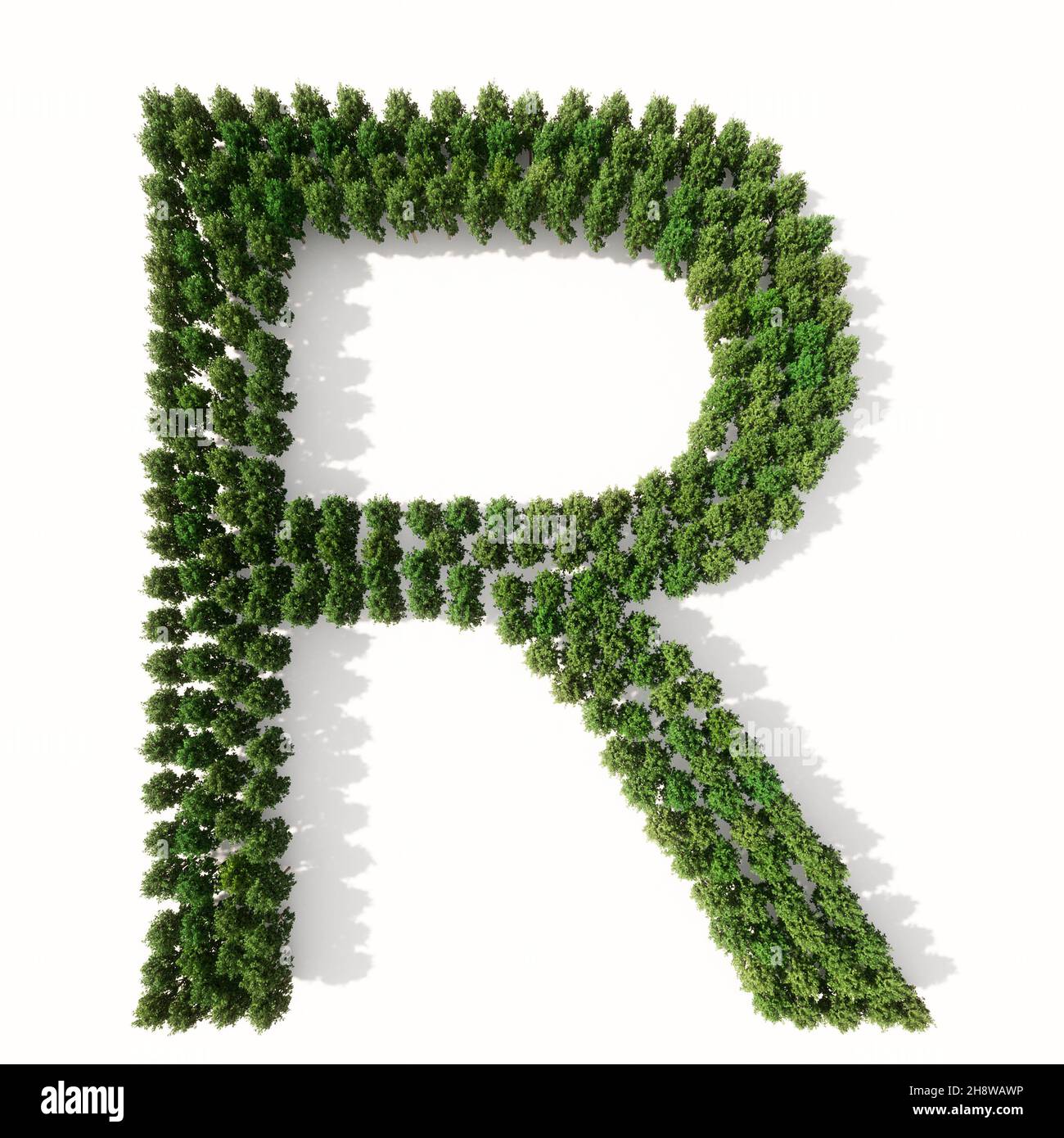 Concept or conceptual group of green forest tree isolated on white ...