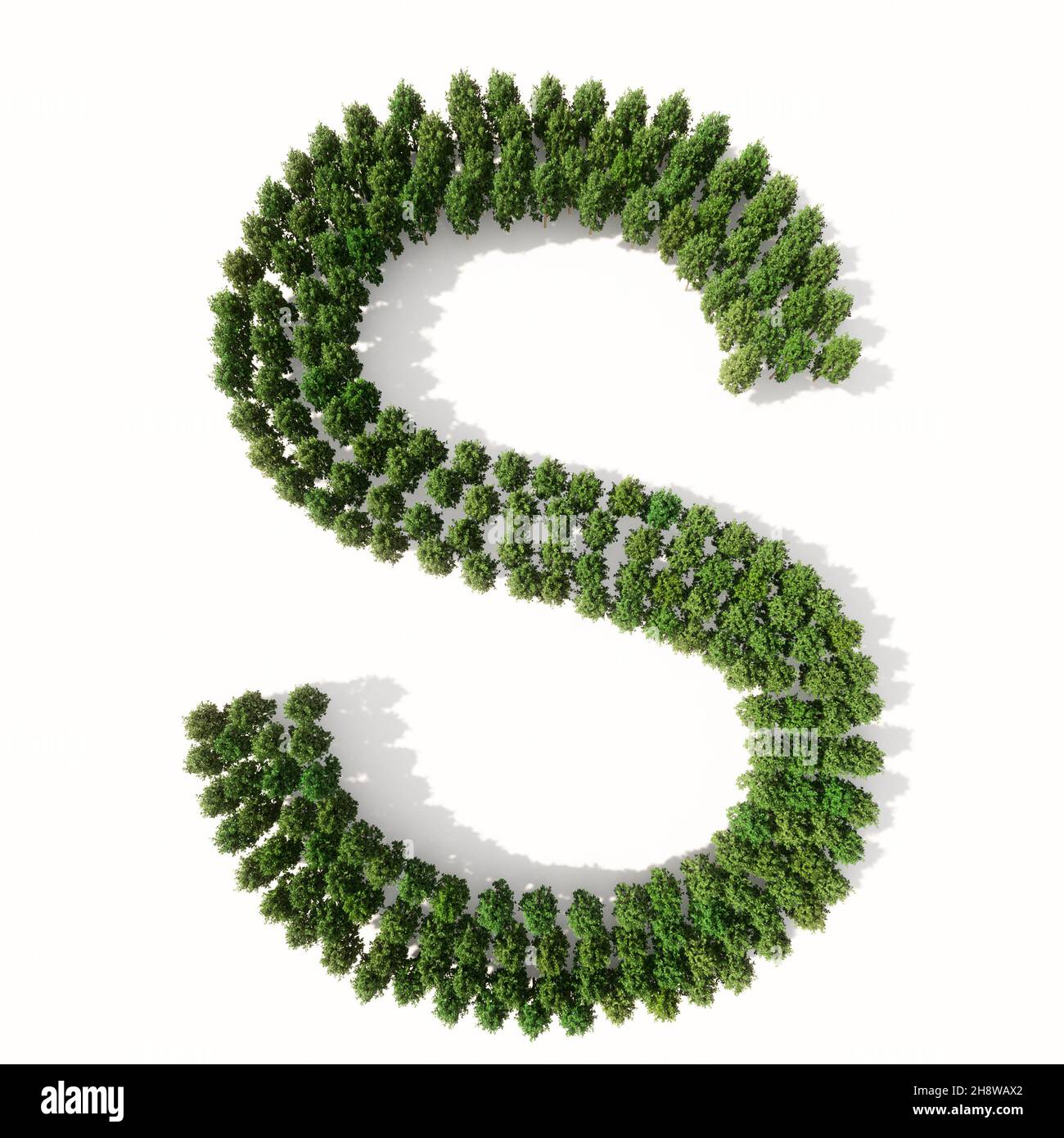 Concept or conceptual group of green forest tree isolated on white ...